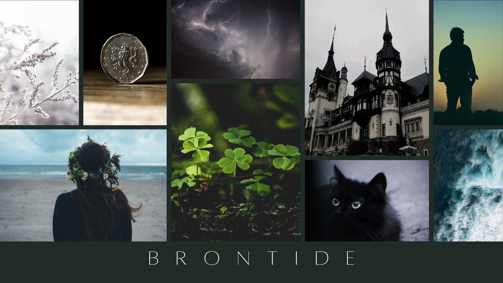 Writing Updates! – Hailey Huntington